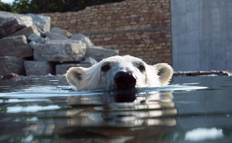 Tallinn Zoo | Viking Line