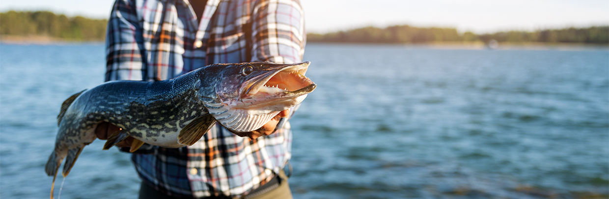 Fishing in Finland | Viking Line