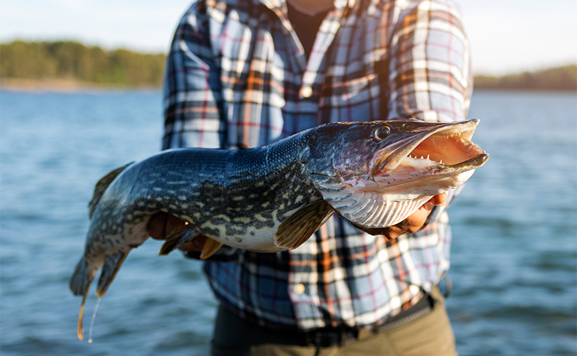 Fishing in Finland | Viking Line