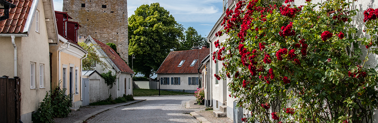 Cruise from Stockholm to Visby | Viking Line