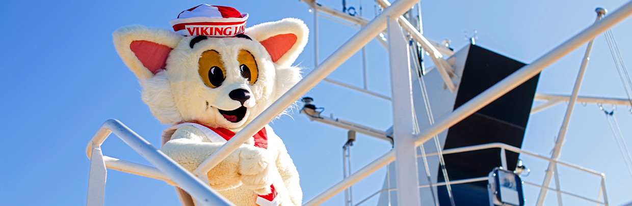 Everything for games and care | Viking Line