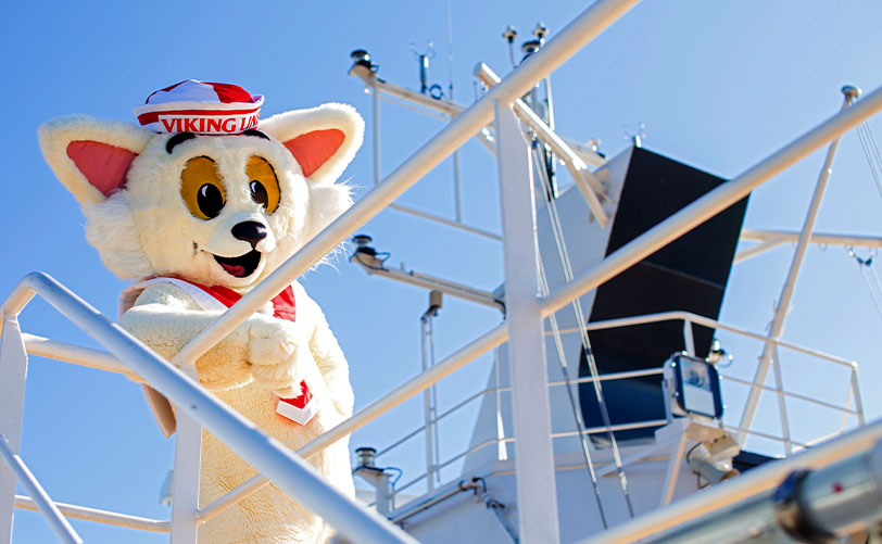 Everything for games and care | Viking Line